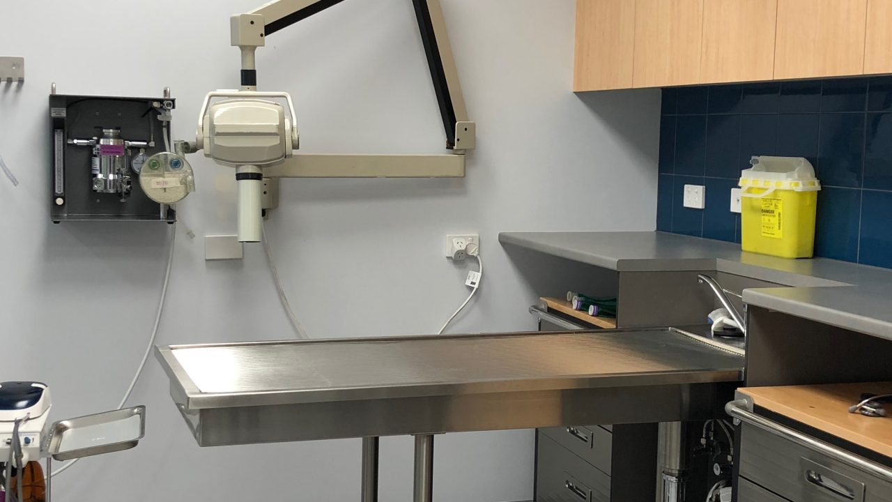 Dentistry at the Northside Veterinary Centre - NORTHSIDE VETERINARY CENTRE