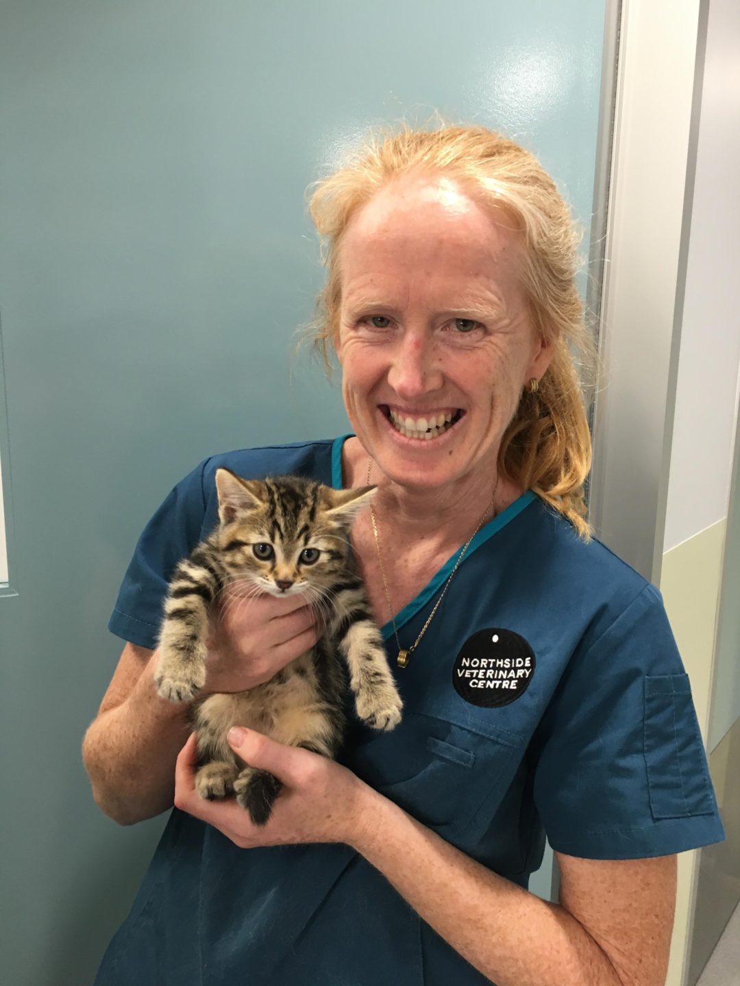 About Us - NORTHSIDE VETERINARY CENTRE