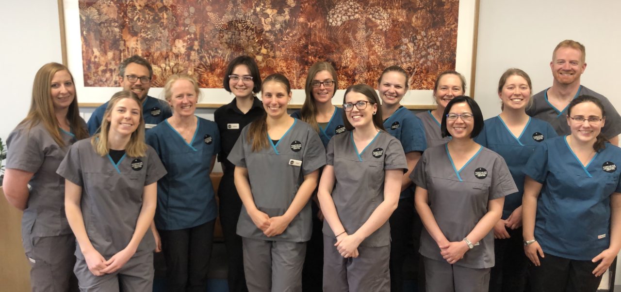 About Us - NORTHSIDE VETERINARY CENTRE