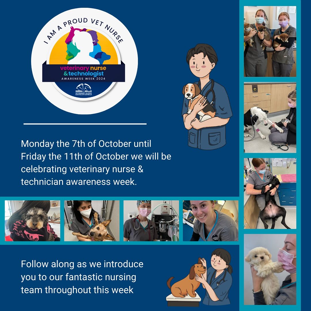 Home - NORTHSIDE VETERINARY CENTRE