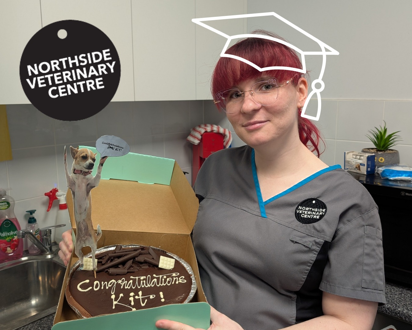 Home - NORTHSIDE VETERINARY CENTRE