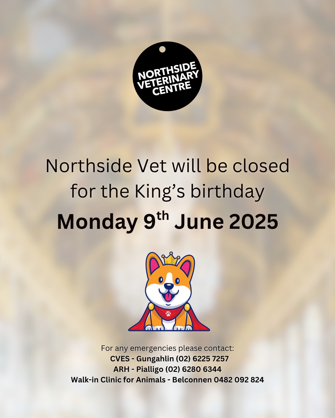 Home - NORTHSIDE VETERINARY CENTRE