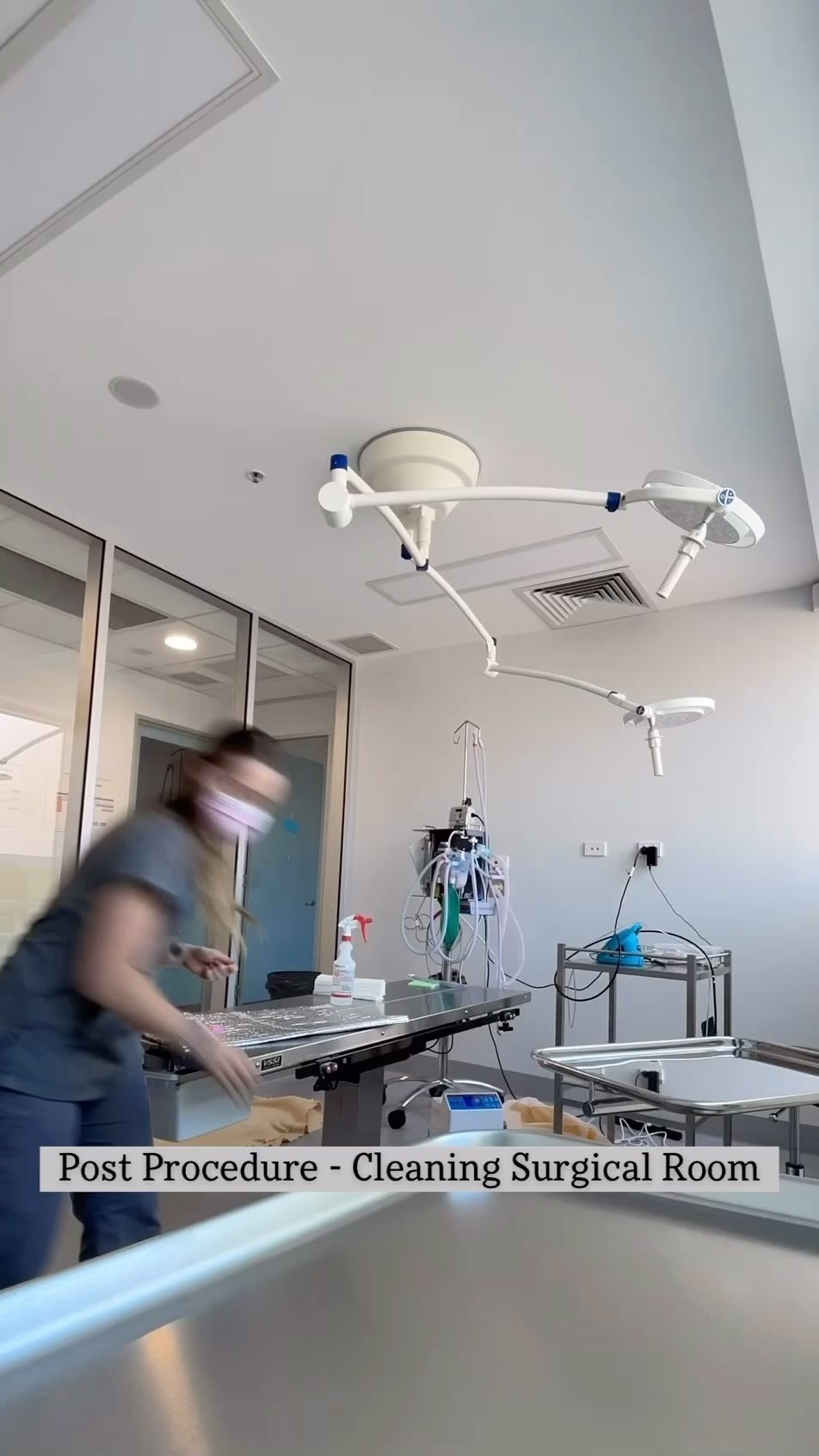 Home - NORTHSIDE VETERINARY CENTRE