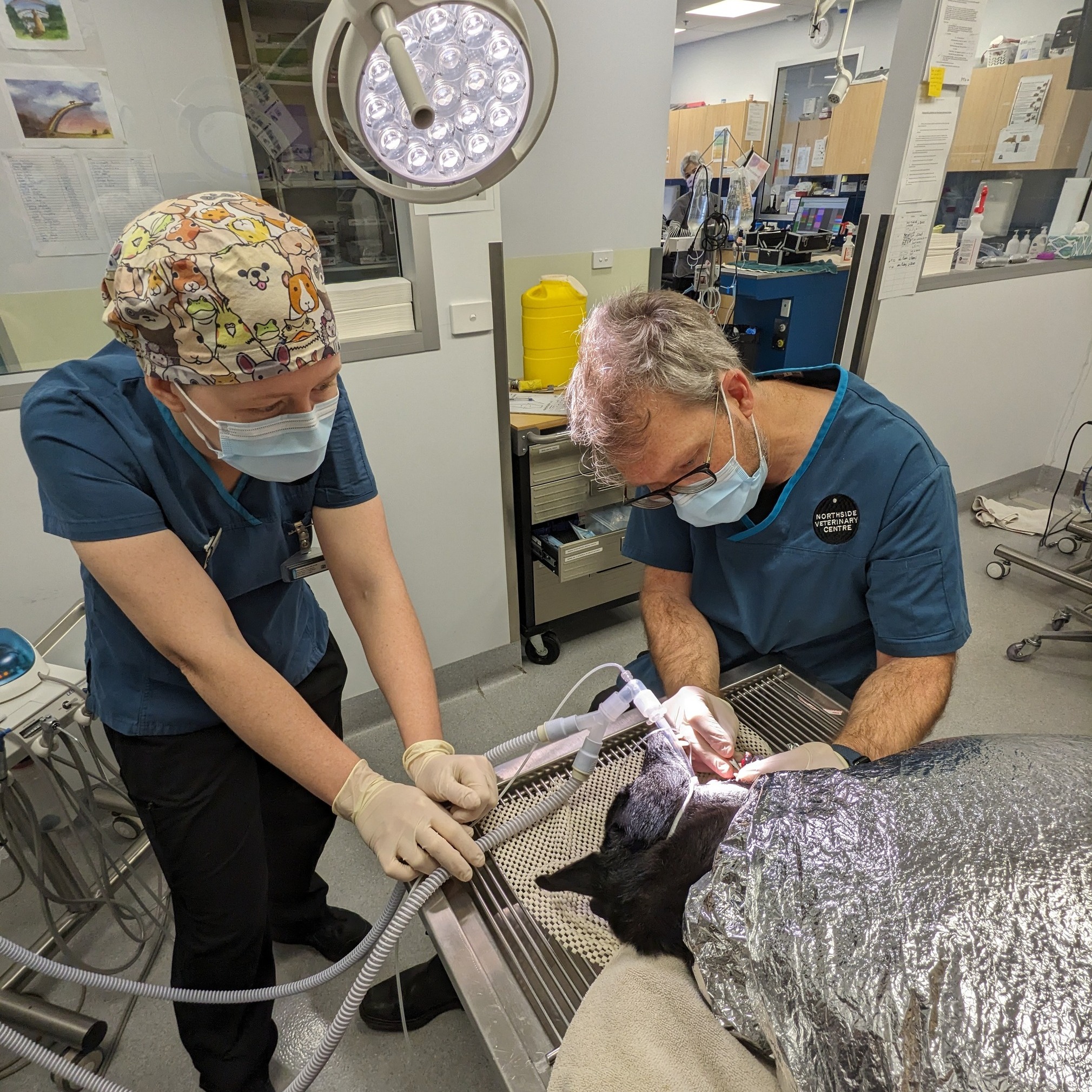 New Client Form - NORTHSIDE VETERINARY CENTRE