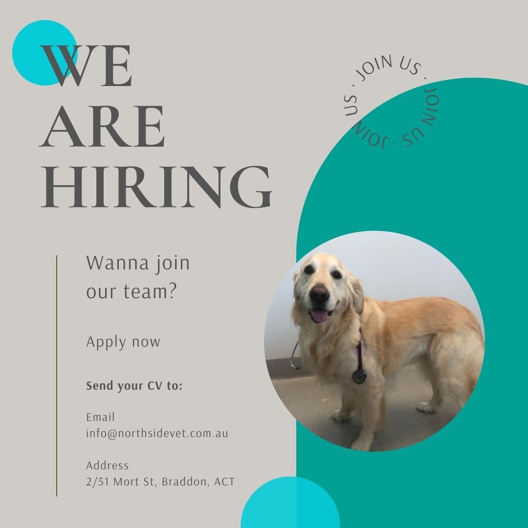 Home - NORTHSIDE VETERINARY CENTRE