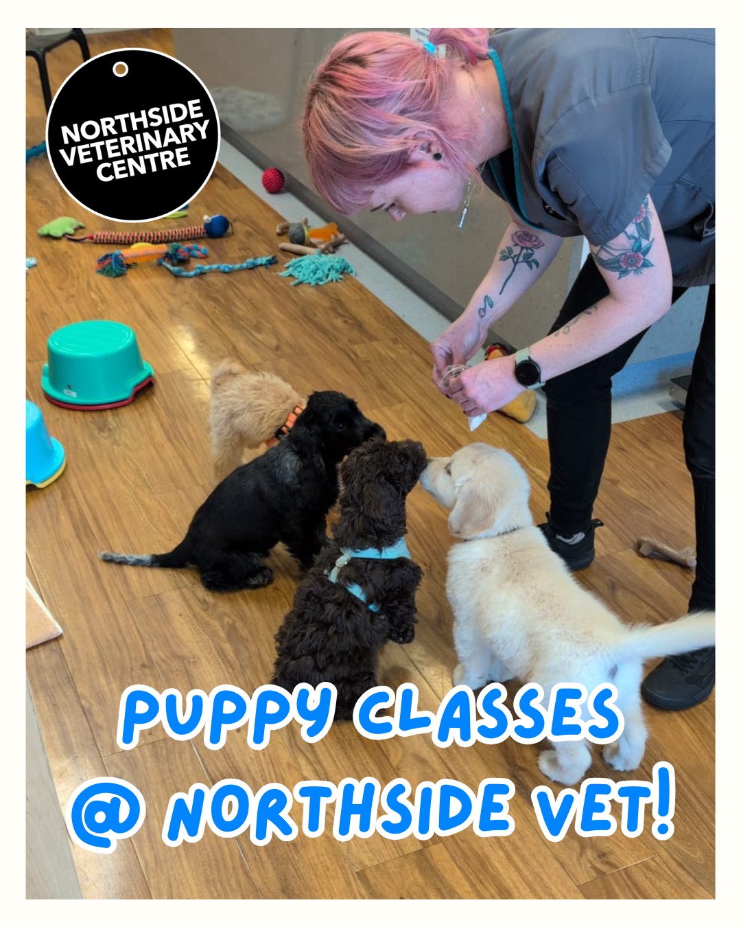 Home - NORTHSIDE VETERINARY CENTRE