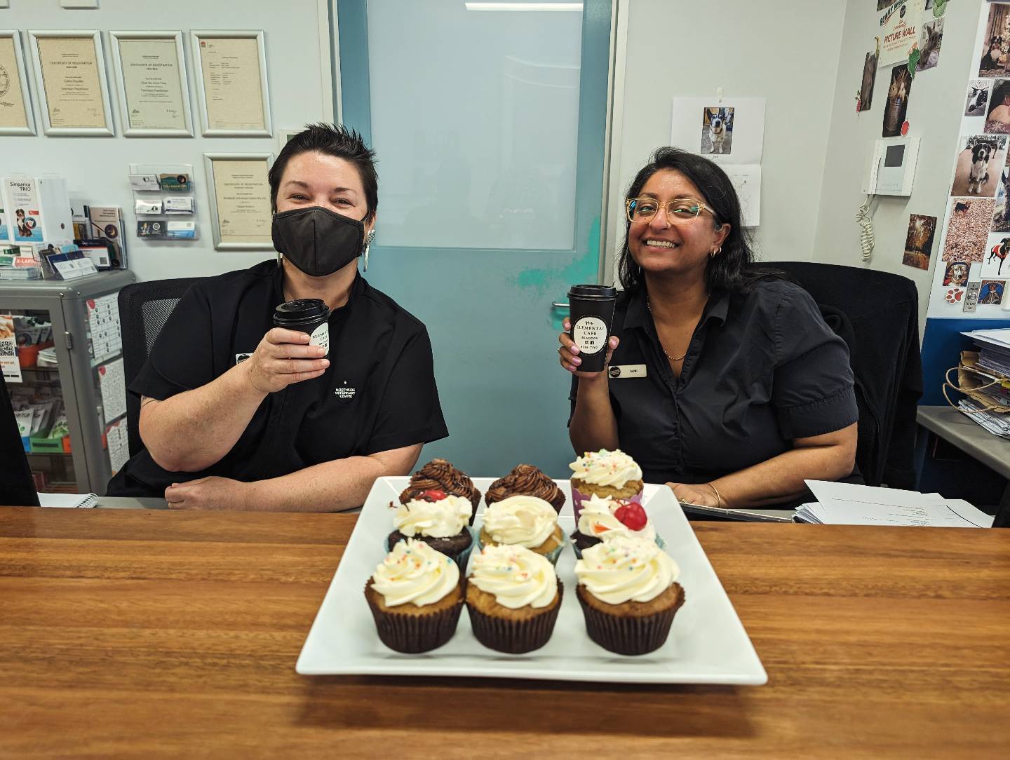 Home - NORTHSIDE VETERINARY CENTRE