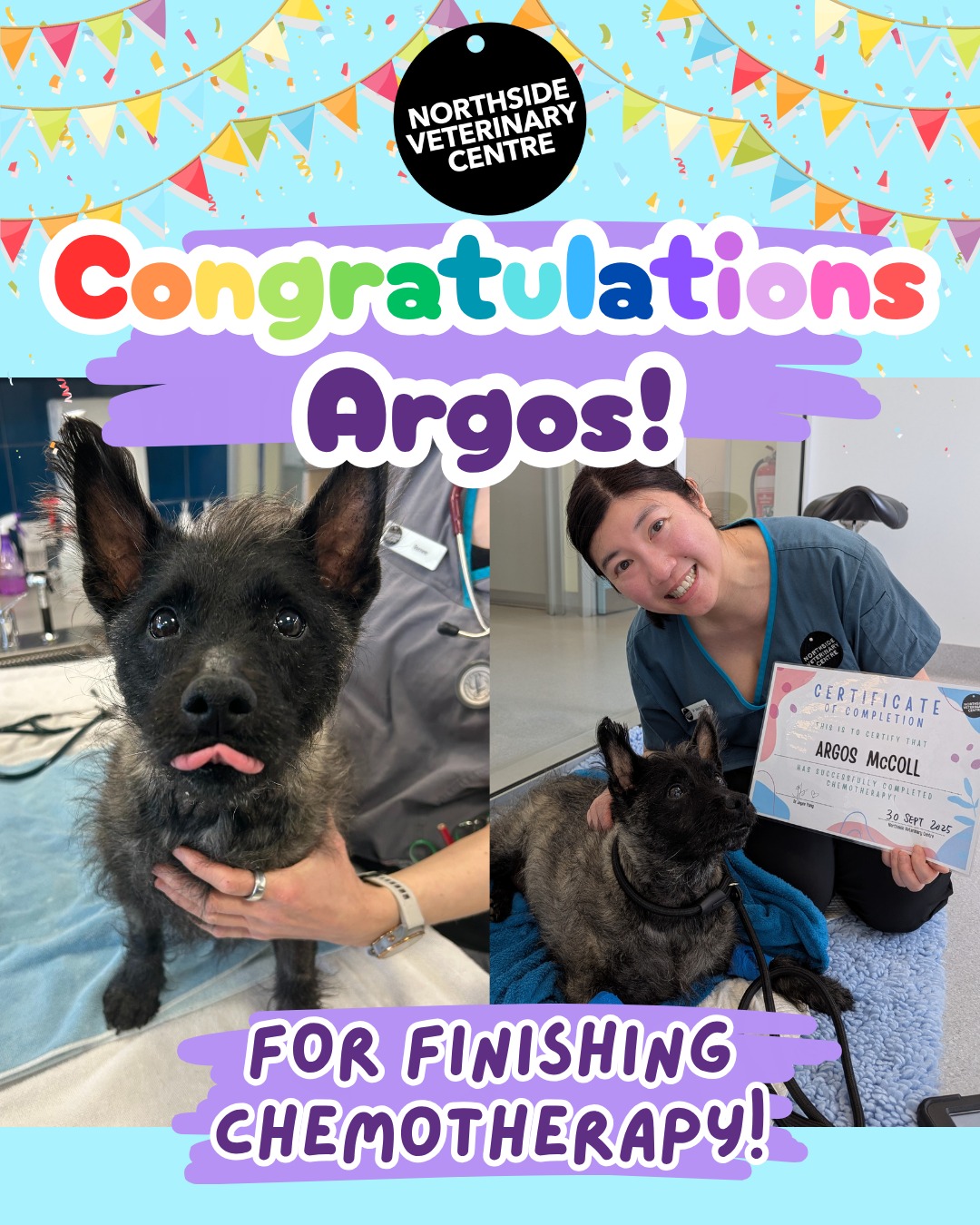 Home - NORTHSIDE VETERINARY CENTRE