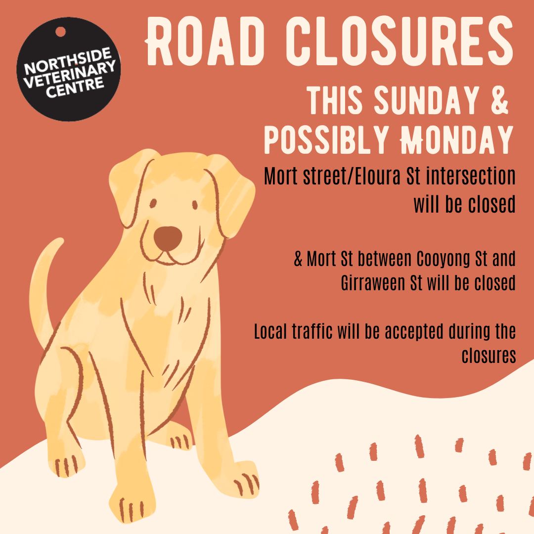 Home - NORTHSIDE VETERINARY CENTRE