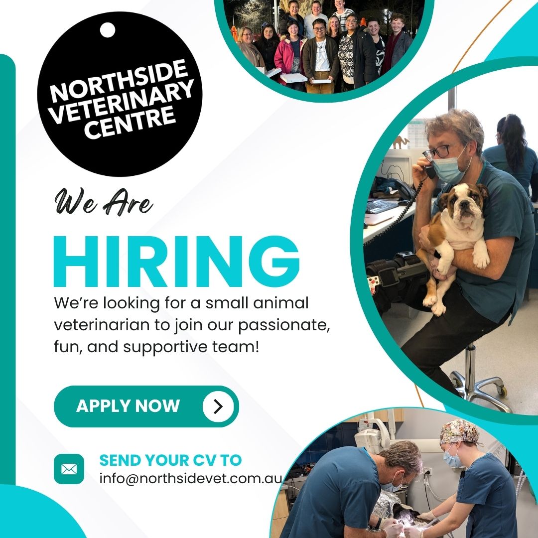 Home - NORTHSIDE VETERINARY CENTRE
