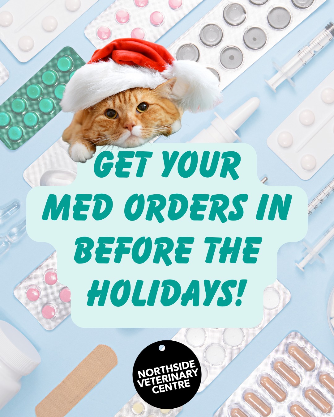 Home - NORTHSIDE VETERINARY CENTRE