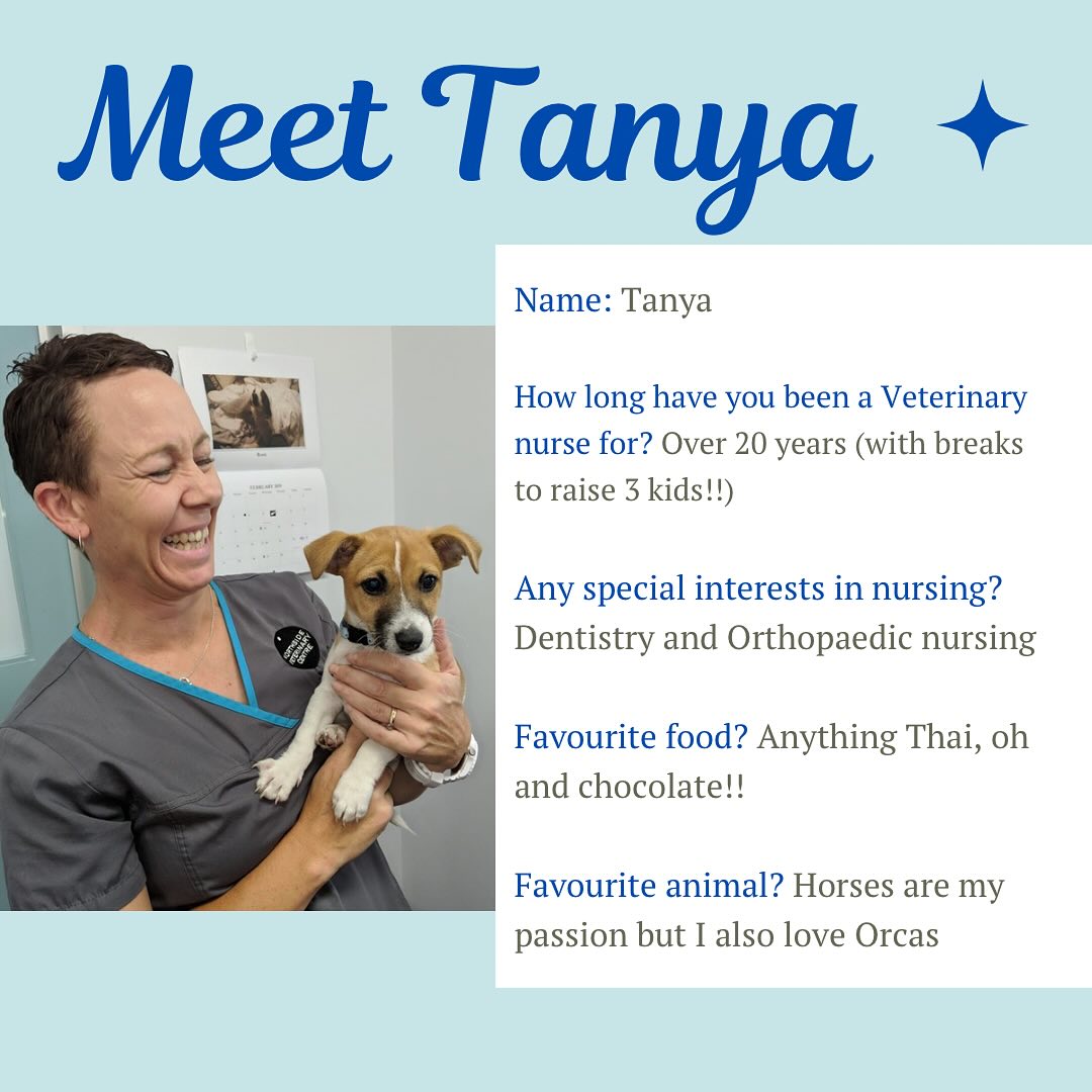 Home - NORTHSIDE VETERINARY CENTRE