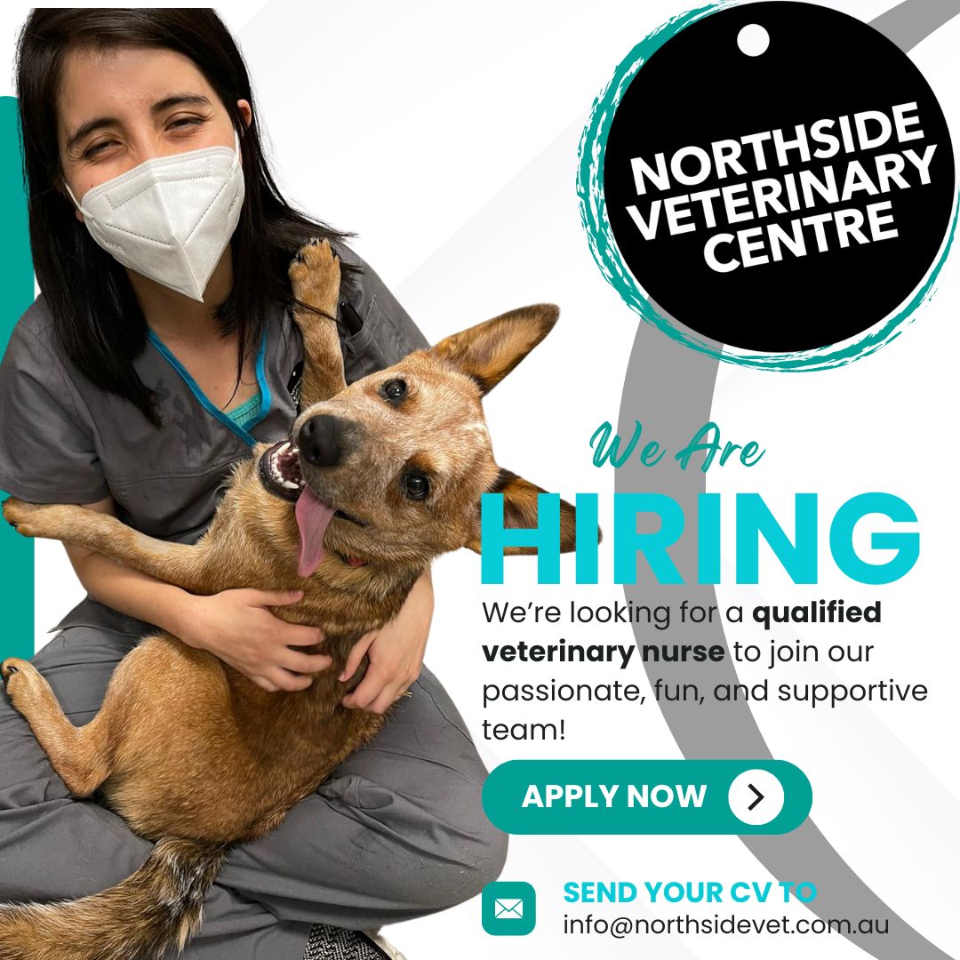 Home - NORTHSIDE VETERINARY CENTRE