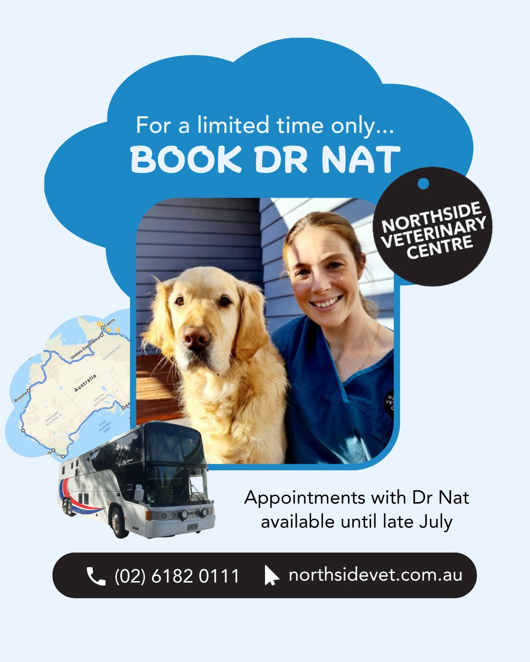 Home - NORTHSIDE VETERINARY CENTRE